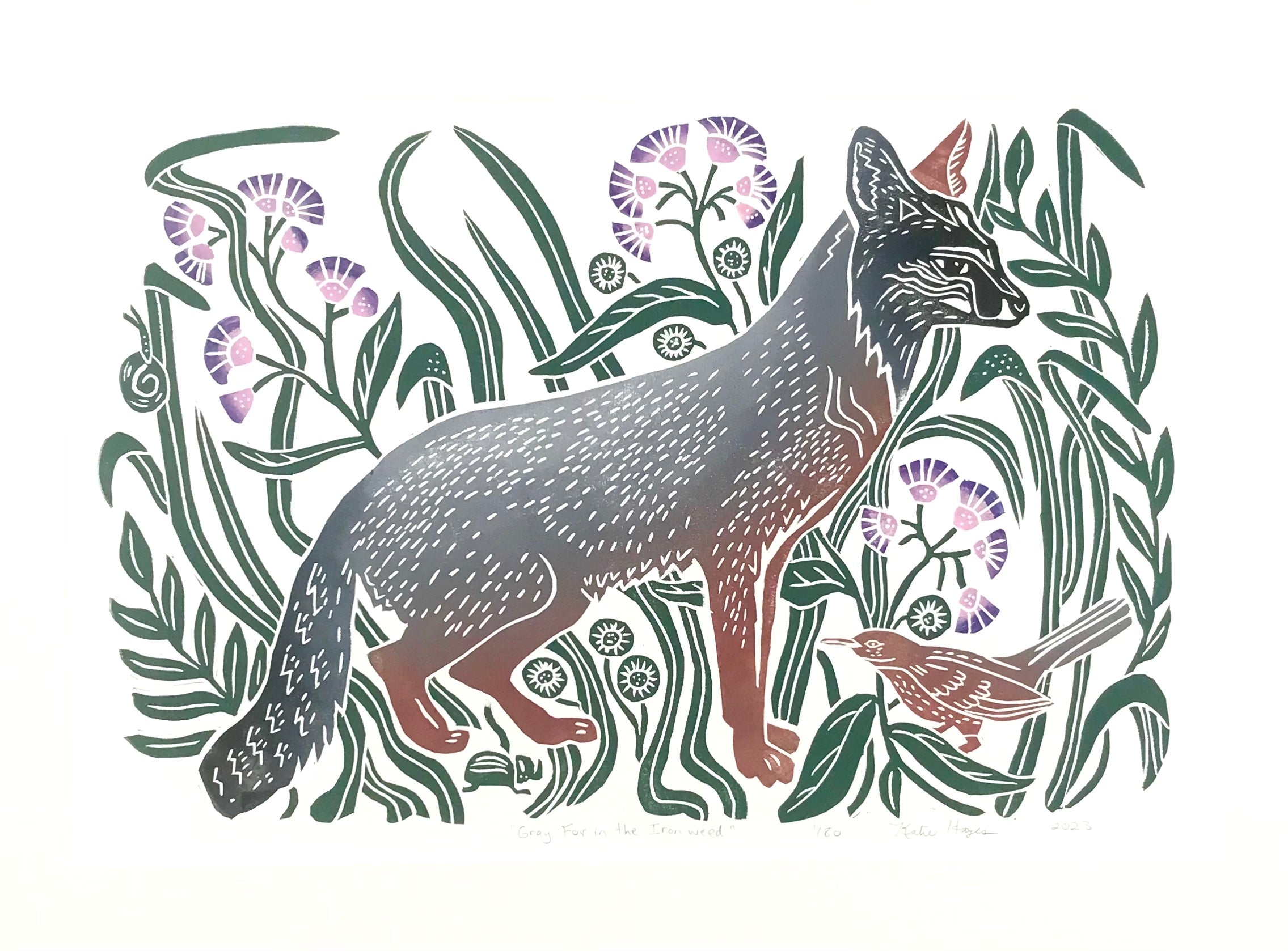 Gray Fox in the Ironweed, Full color Block Print with 18x24 mat – New ...